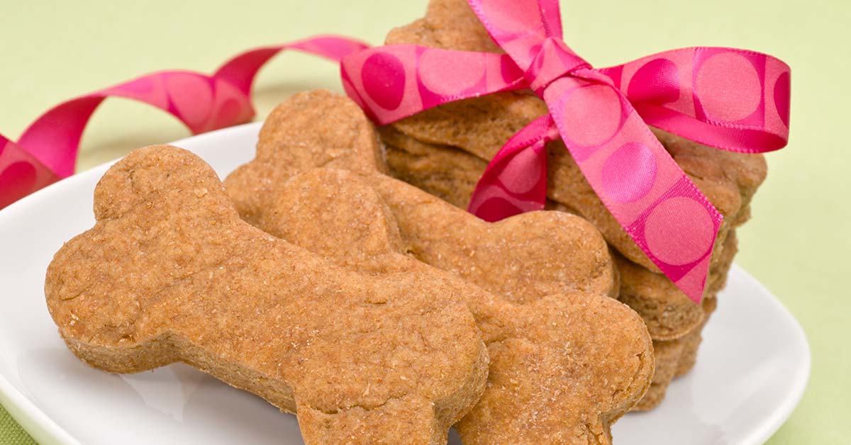 Dog Treat Baking Supplies You’ll Want in Your Kitchen