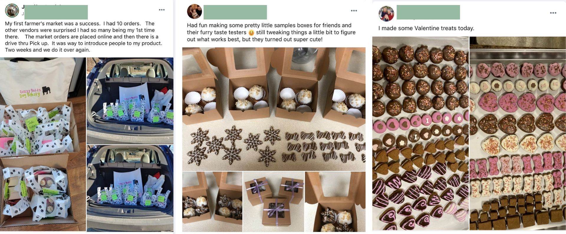 How to Start a Dog Treat Bakery from Home Today