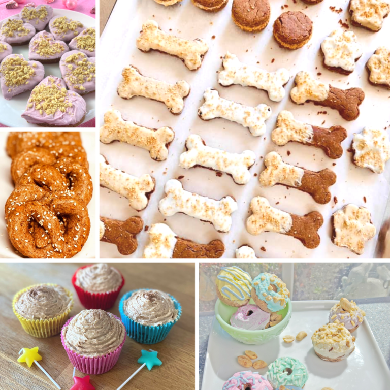 How to Start a Dog Treat Bakery from Home Today